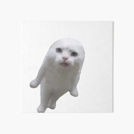 "angry catto" Art Board Print for Sale by savebeesplease | Redbubble