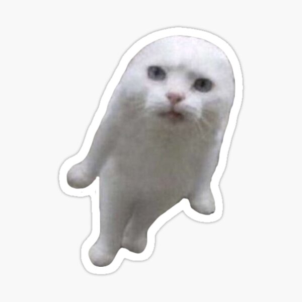 "angry catto" Sticker by savebeesplease | Redbubble