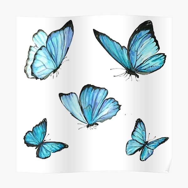 "Blue Watercolor Butterflies" Poster for Sale by Sugar Stickers | Redbubble