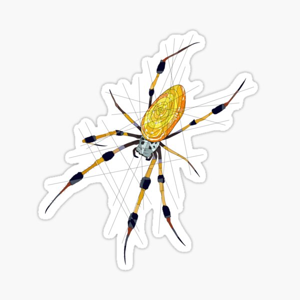 "Golden Orb Weaver" Sticker by Blacklightco | Redbubble