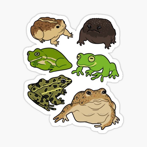 "Frogs, Toads, Amphibians" Sticker for Sale by Pykiin | Redbubble