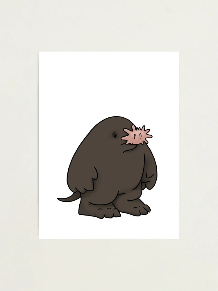Cute Star Nosed Mole
