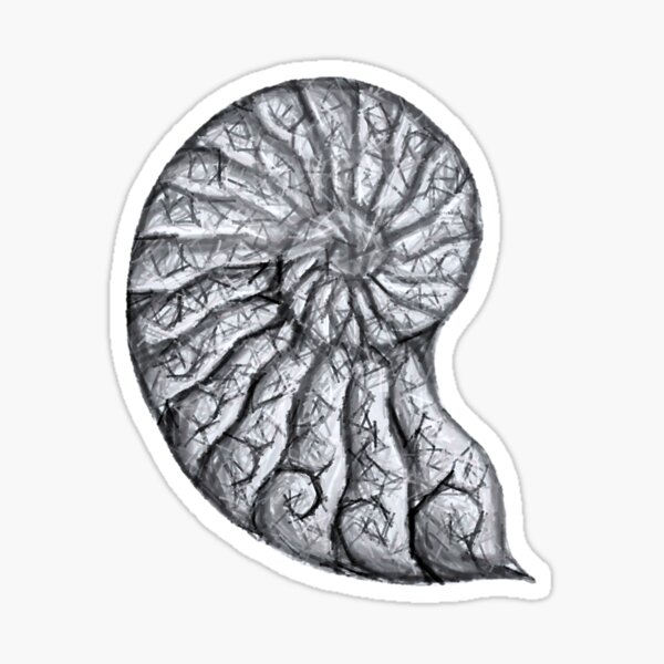 "Swirly Ammonite Charcoal" Sticker by hattied31 | Redbubble
