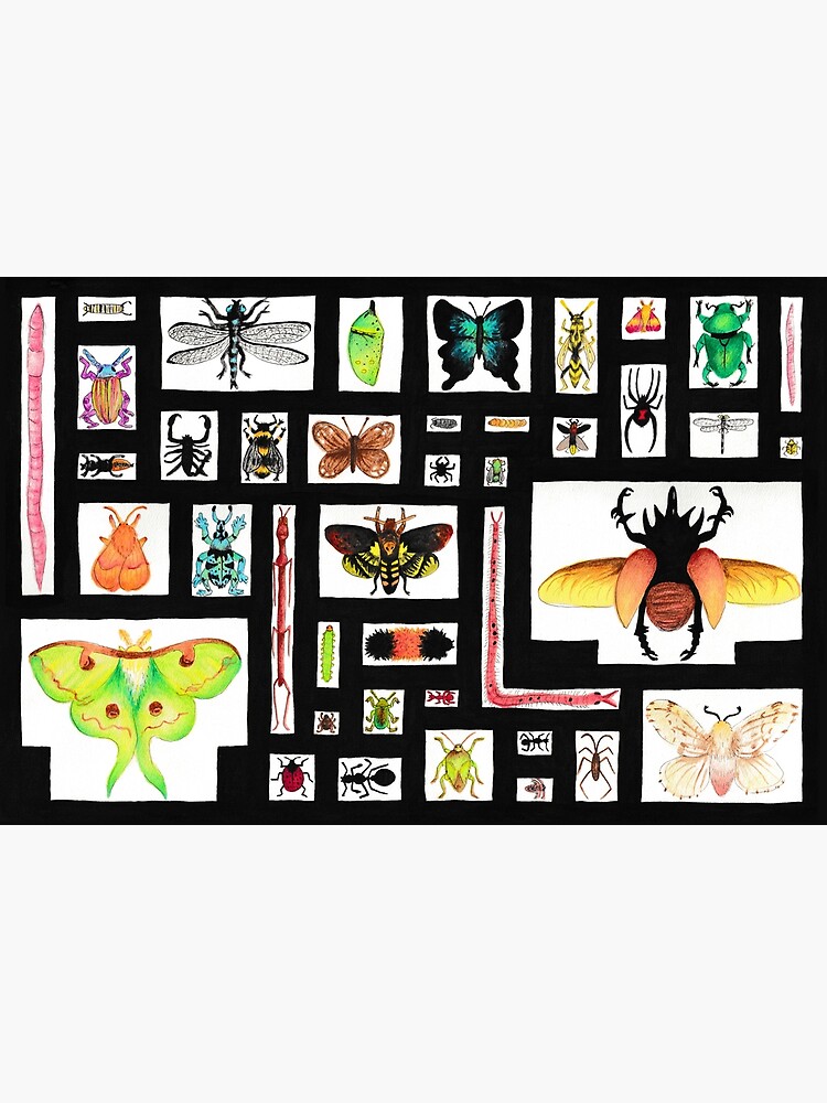 "Bug Collection" Poster by bugtears | Redbubble