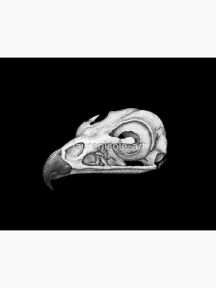 "Red-tailed Hawk Skull (black)" Poster for Sale by laurenicole-art ...