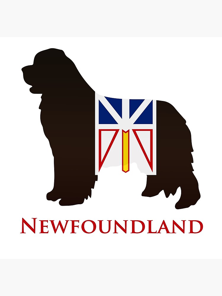 "Newfoundland Dog sporting the Newfoundland flag!" Metal Print for Sale ...