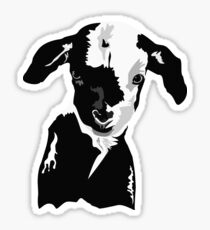 Boer Goat Stickers | Redbubble