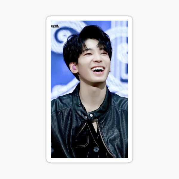 "Seventeen - Wonwoo Sticker" Sticker for Sale by Magalyv98 | Redbubble