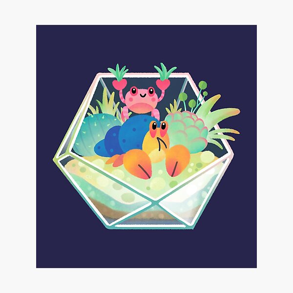 "Ocean terrarium - Boxer crab, hermit crab" Photographic Print by ...