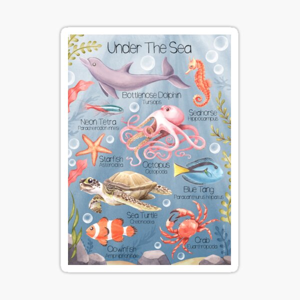"Under The Sea" Sticker for Sale by LCWaterworth | Redbubble
