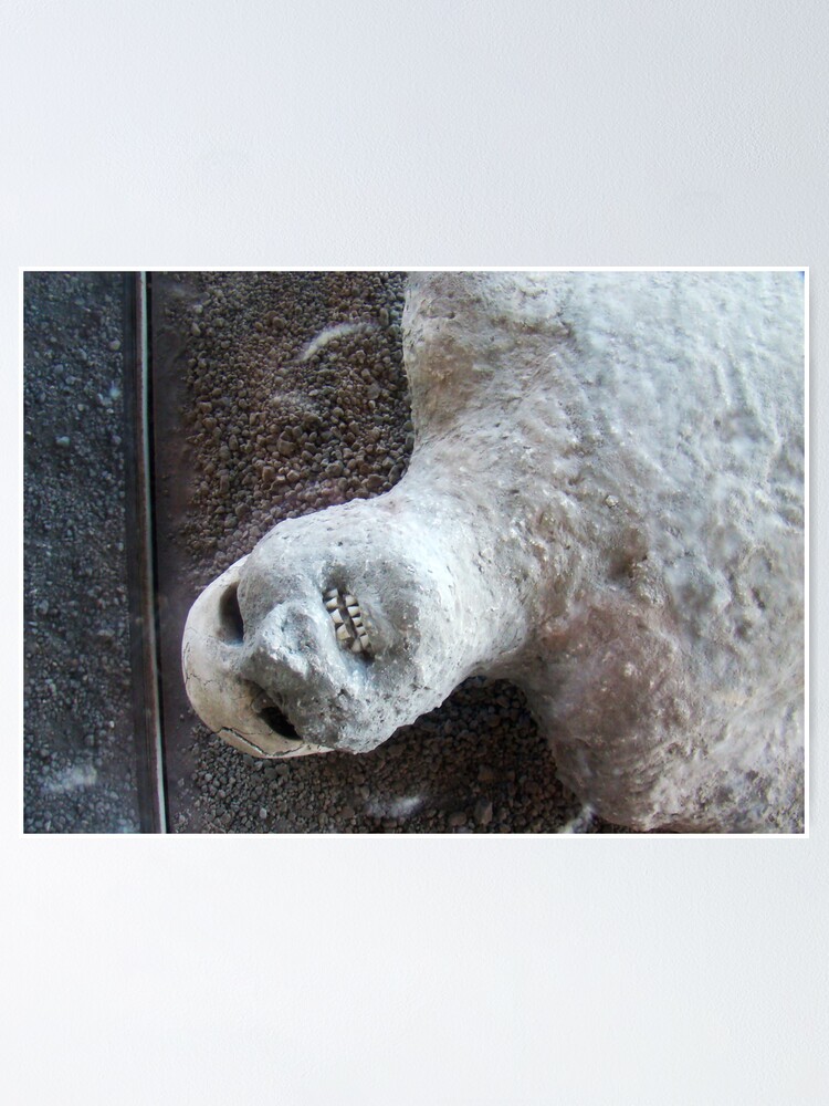 "Death Throes II, Pompeii 79AD" Poster for Sale by EuropaPhoto | Redbubble