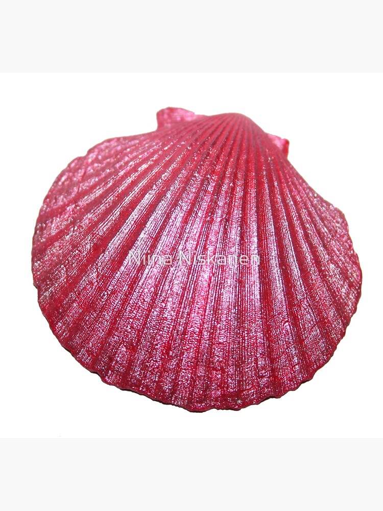 "Shiny Red Scallop Shell " Poster for Sale by fairychamber | Redbubble
