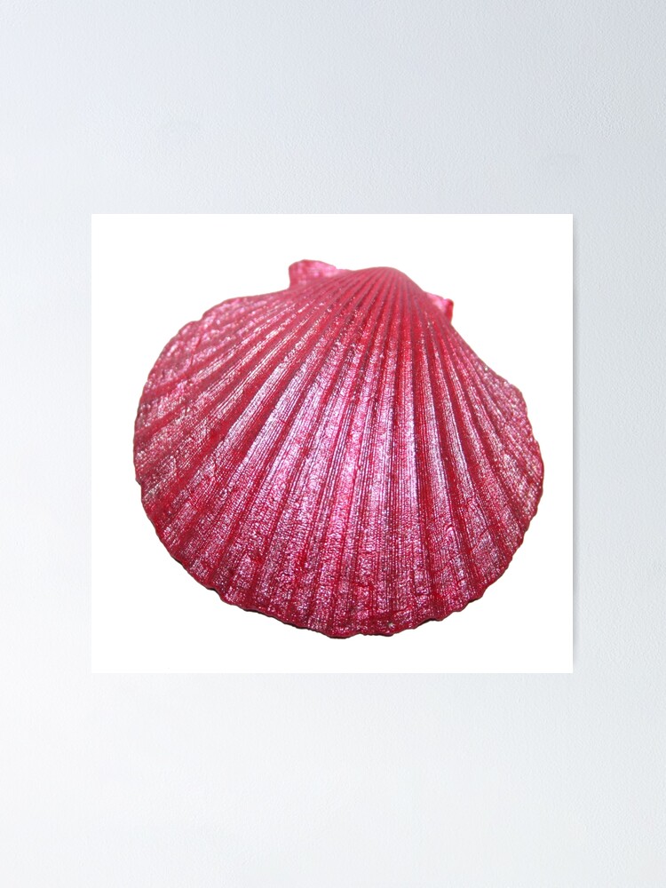 "Shiny Red Scallop Shell " Poster for Sale by fairychamber | Redbubble