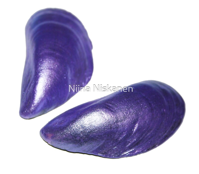 "Shiny Purple Mussel Shells" by Niina Niskanen | Redbubble