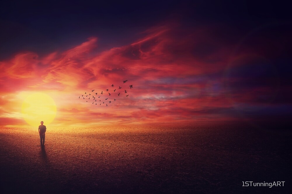 "sunset stranger" by 1STunningART | Redbubble