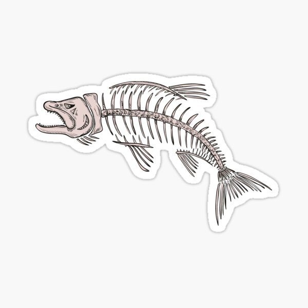 "King Salmon Skeleton Drawing" Sticker for Sale by patrimonio | Redbubble