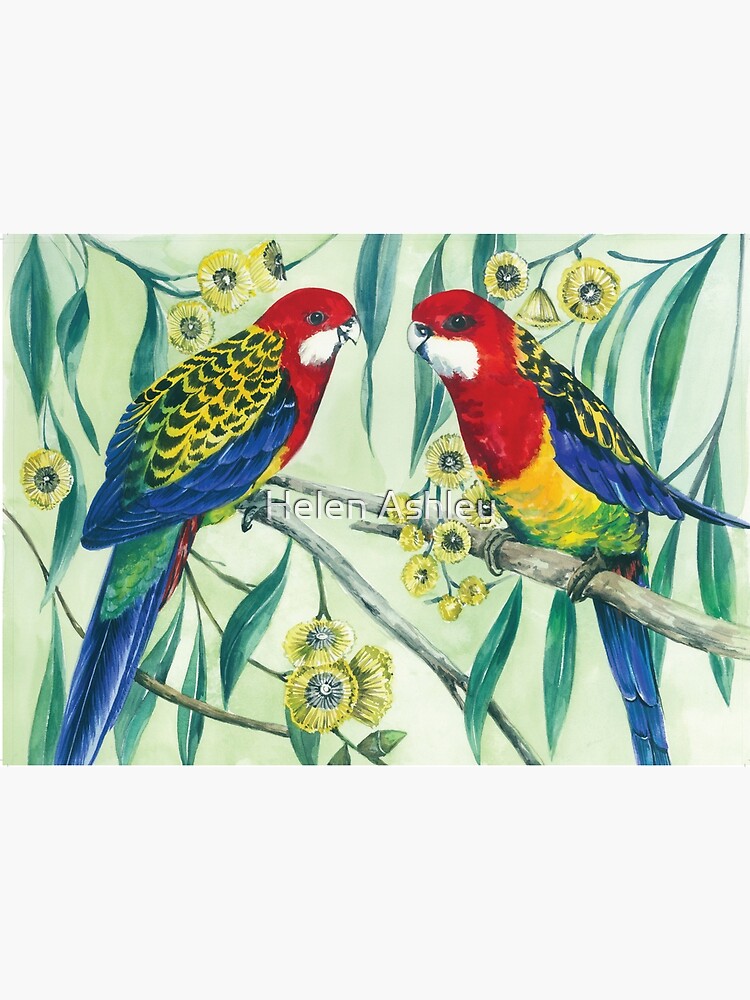 "Eastern Rosella" Framed Art Print for Sale by HelenAshley | Redbubble