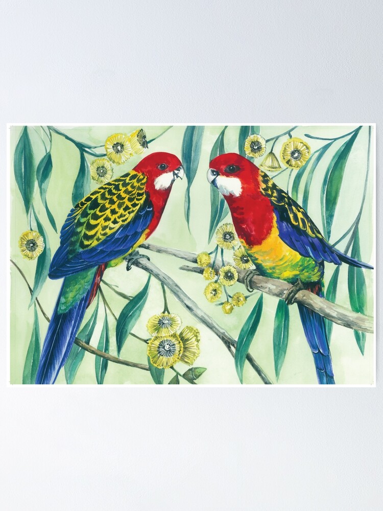 "Eastern Rosella" Poster for Sale by HelenAshley | Redbubble