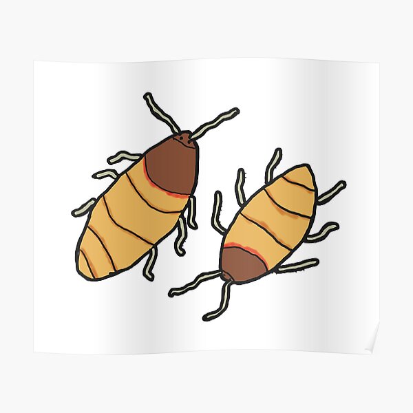 Cockroach Posters | Redbubble