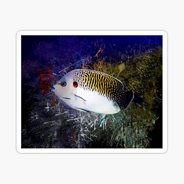 "Adult Tiger Angelfish " Sticker for Sale by Digital-designs | Redbubble