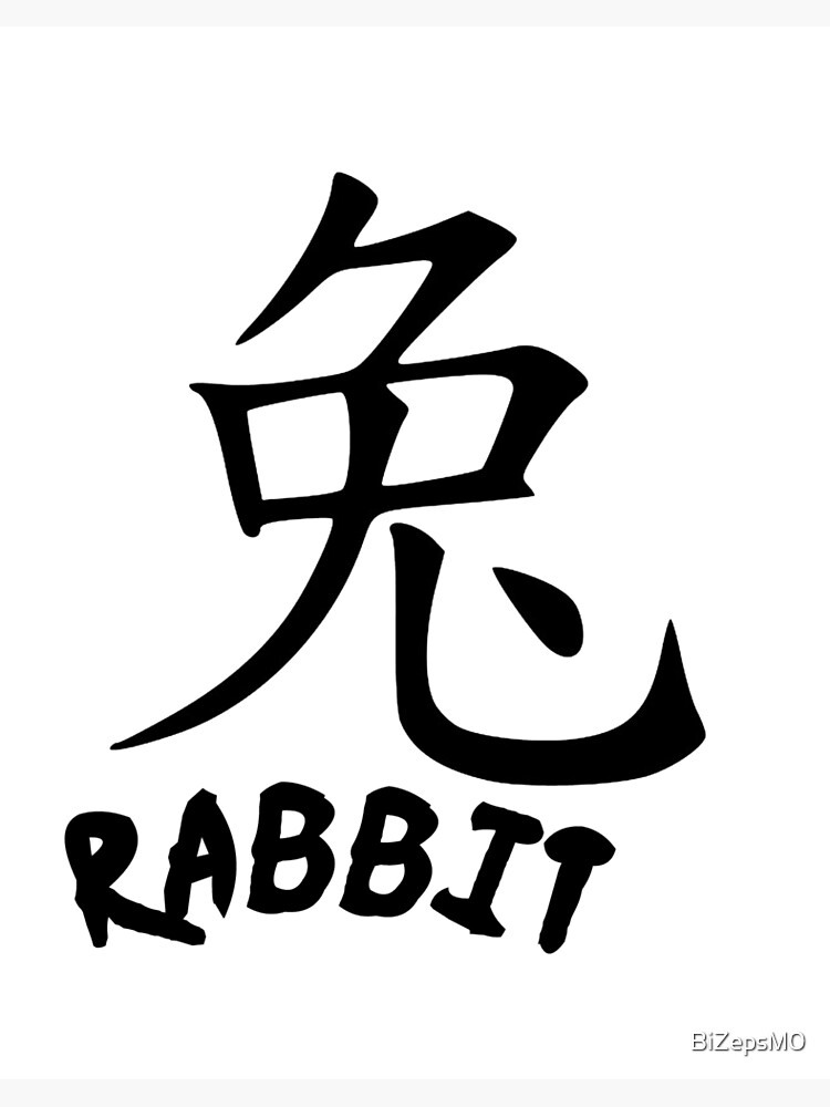 Meaning of rabbit chinese zodiac 60 photos - Astrologytoyou.com