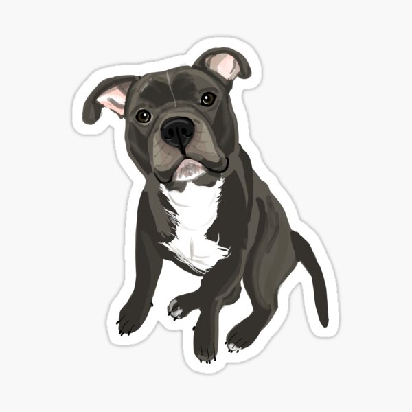 Pitbull Stickers | Redbubble