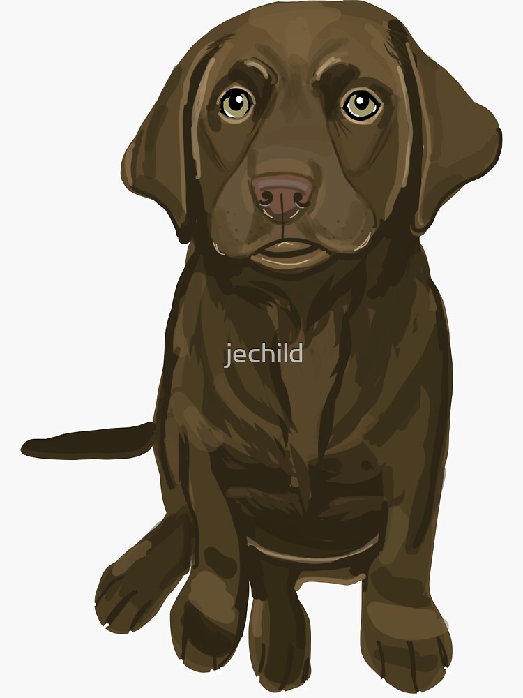 "Chocolate Lab Puppy Digital Drawing" Sticker by jechild | Redbubble
