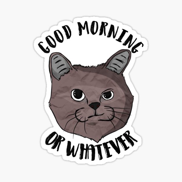 "Good Morning Or Whatever Cat Meme" Sticker for Sale by therealsadpanda ...