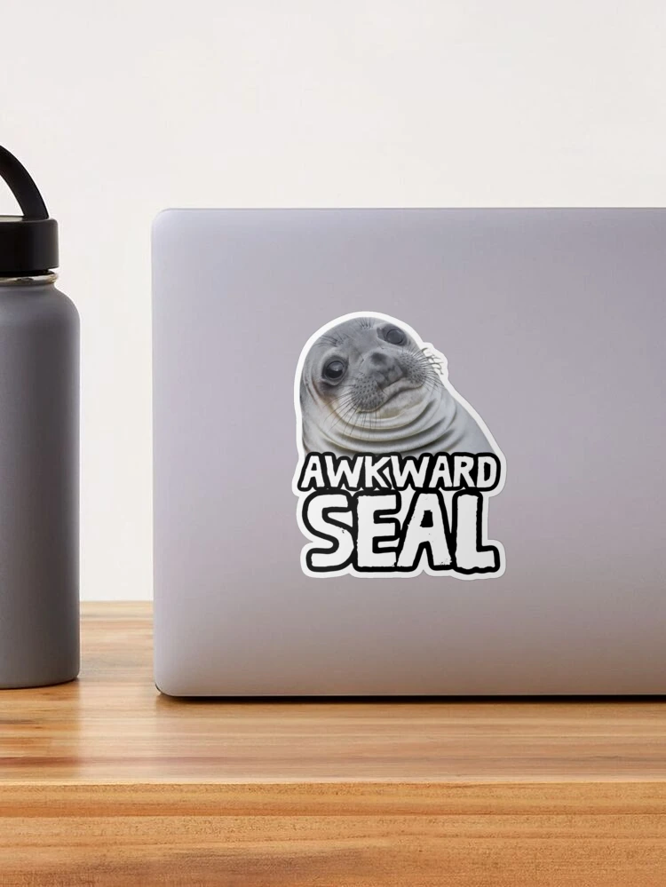 Awkward Seal Memes