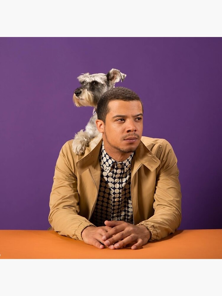 "Raleigh Ritchie" Sticker for Sale by tamsinp | Redbubble