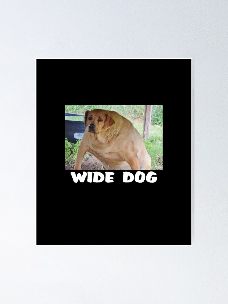"Wide Dog Meme" Poster for Sale by Altohombre | Redbubble