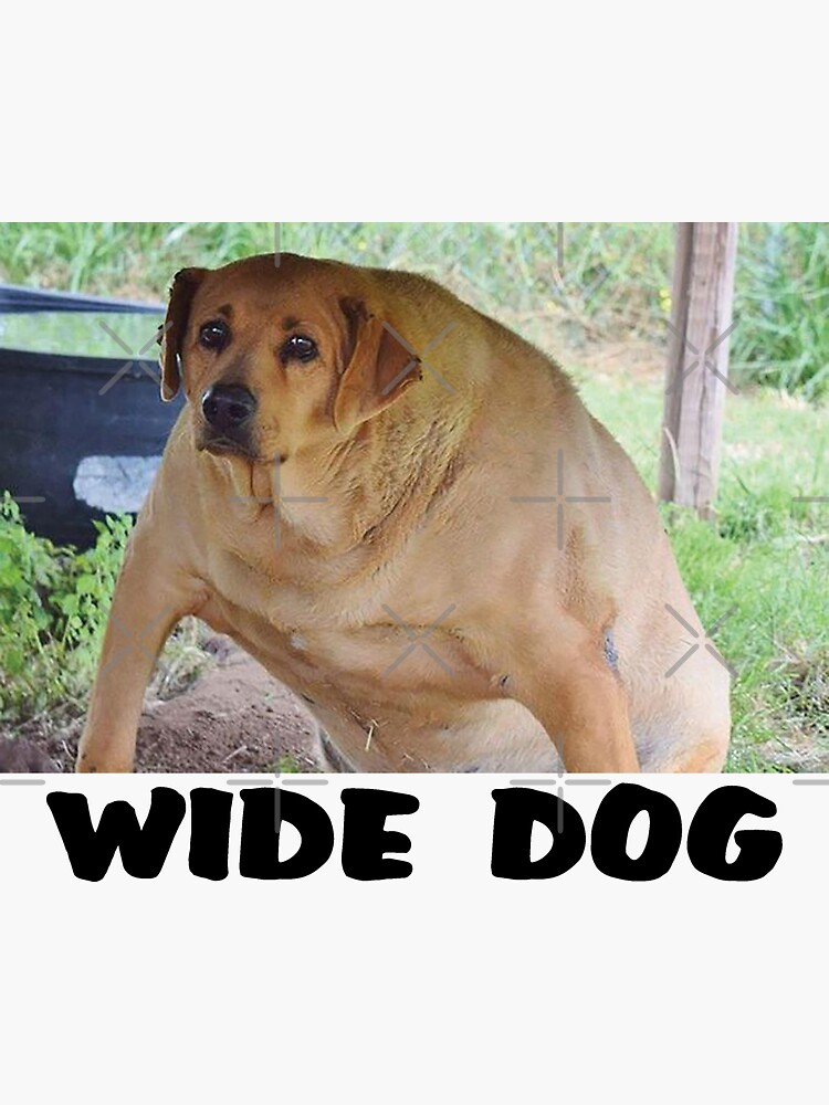 "Wide Dog Meme" Sticker for Sale by Altohombre | Redbubble
