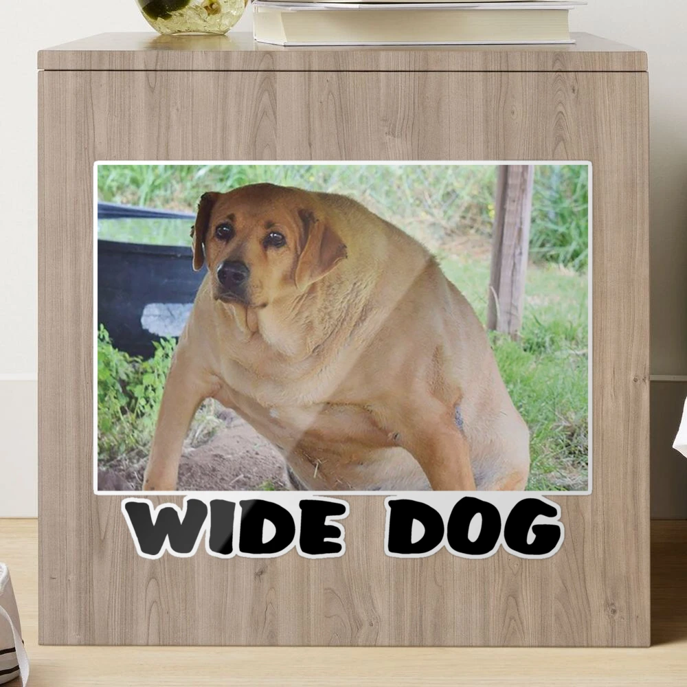 Wide Dog Meme