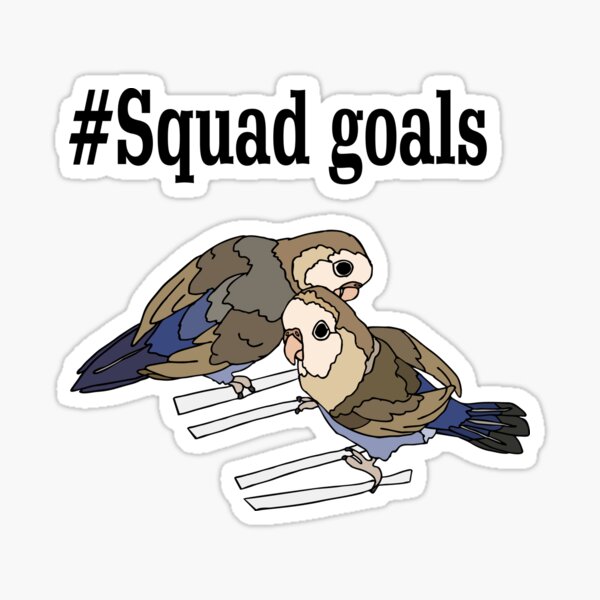 "#Squad Goals" Sticker for Sale by birbistheword | Redbubble