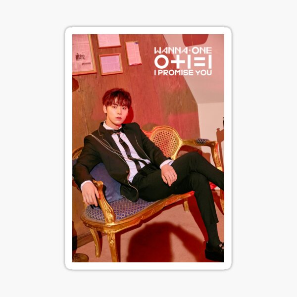 "WANNA ONE I PROMISE YOU HWANG MINHYUN" Sticker for Sale by ...