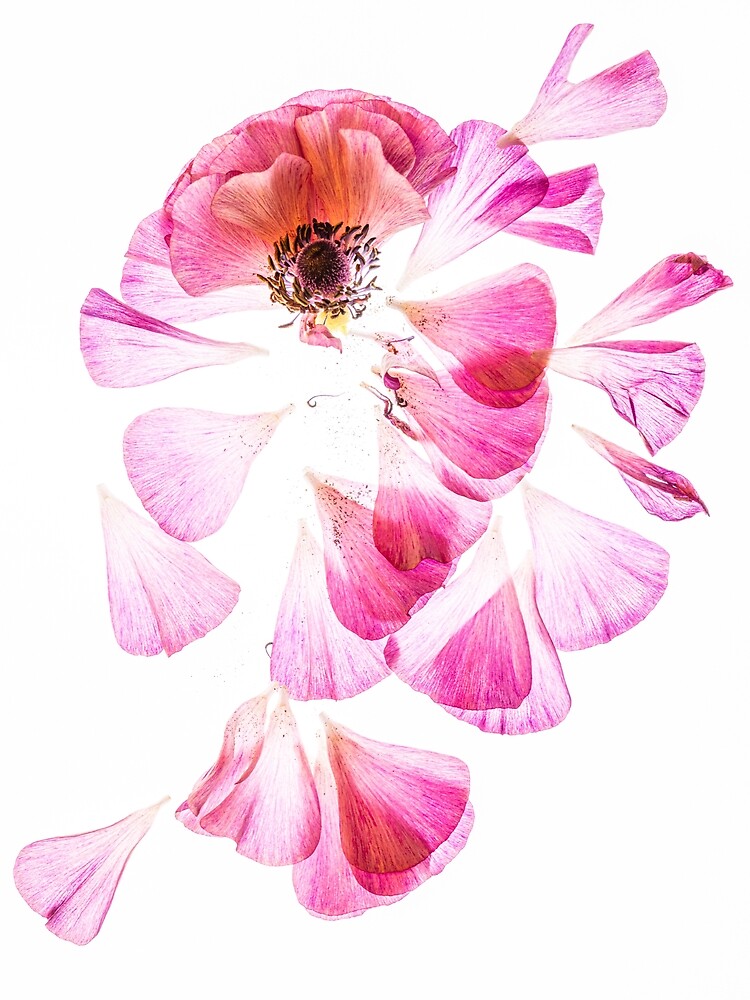 "And then my head exploded #2" Poster for Sale by alanshapiro | Redbubble