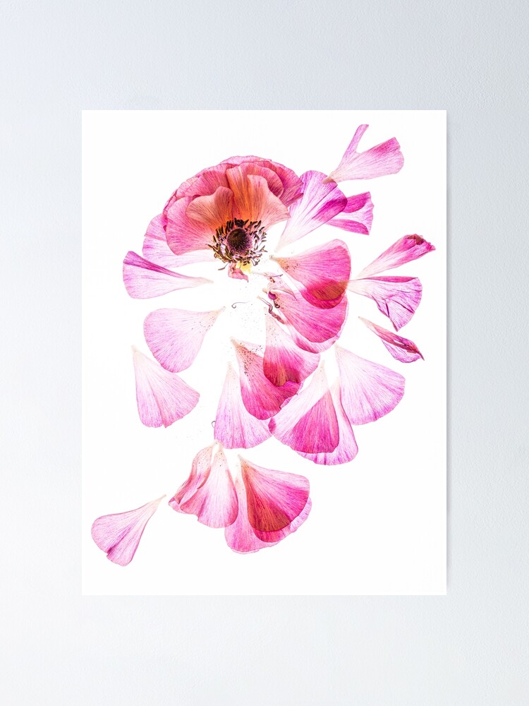 "And then my head exploded #2" Poster for Sale by alanshapiro | Redbubble