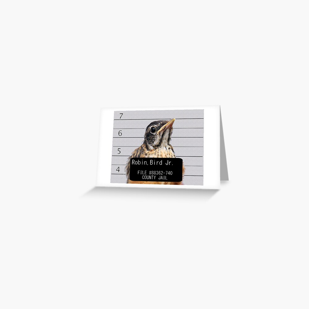 "Jail Bird" Greeting Card for Sale by bwdoddphoto | Redbubble
