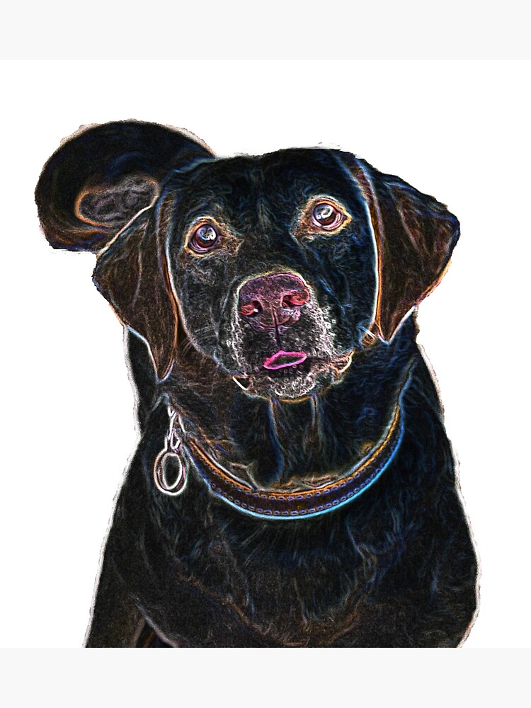 "Black Labrador Design. Digital Design." Poster by AgnieszkaArt | Redbubble