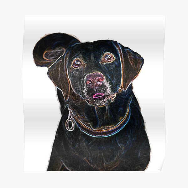 "Black Labrador Design. Digital Design." Poster by AgnieszkaArt | Redbubble