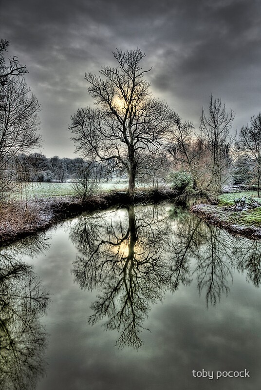 "The Shivering Tree " by toby pocock | Redbubble