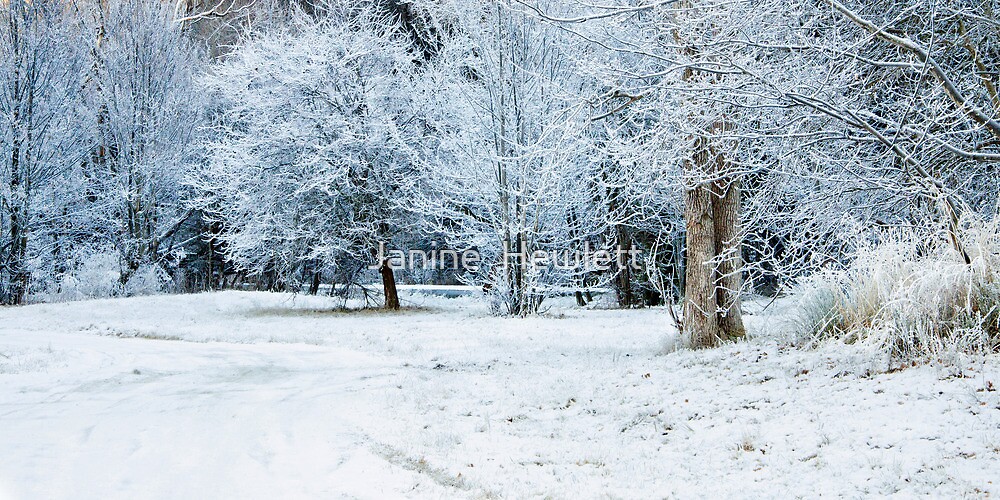 "Snowscape" by Janine Hewlett | Redbubble