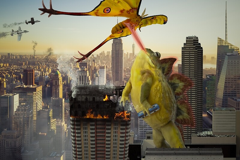 "FROGZILLA!" by Randy Turnbow | Redbubble