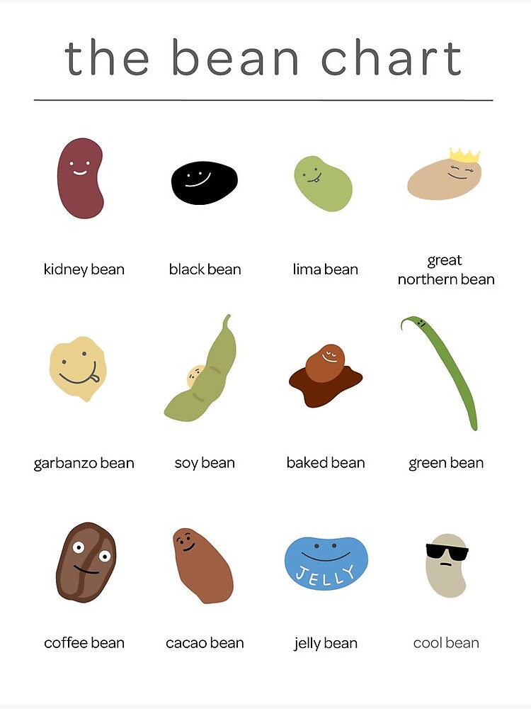 "Bean Chart" Photographic Print for Sale by jennascheen | Redbubble