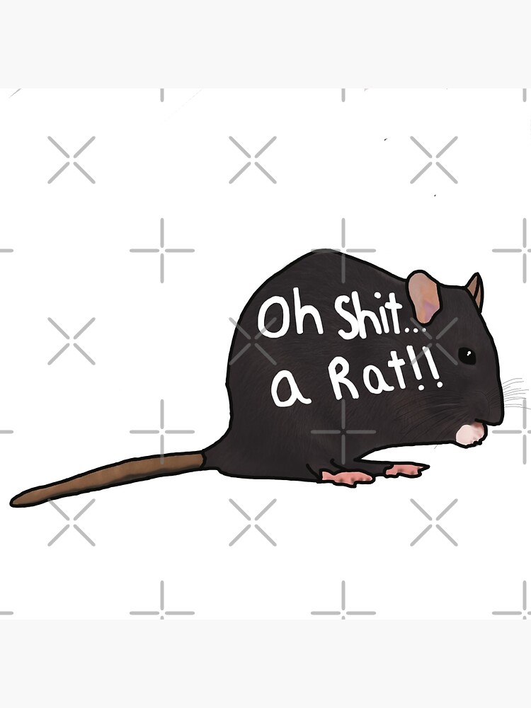 "Oh shitttt... a rat" Poster for Sale by gracemiller19 | Redbubble