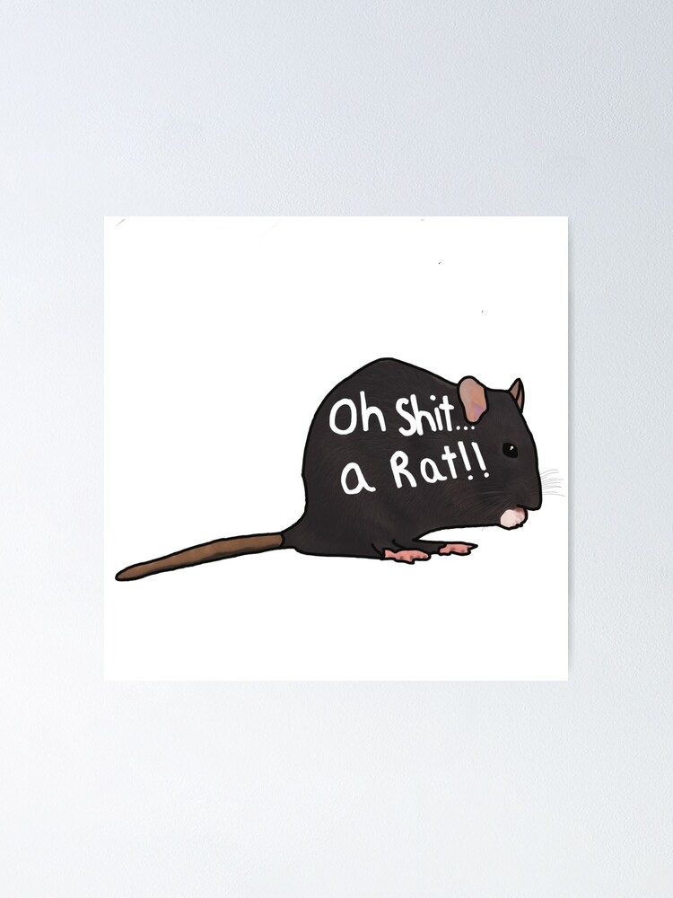 "Oh shitttt... a rat" Poster for Sale by gracemiller19 | Redbubble
