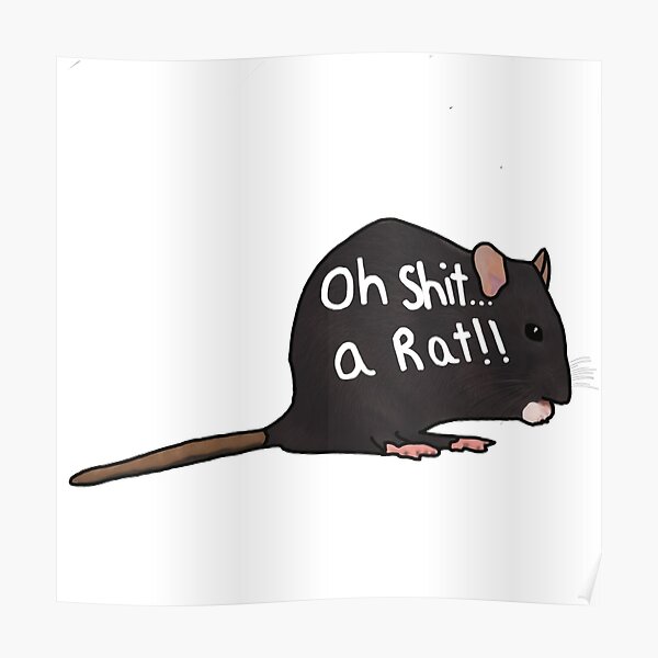 "Oh shitttt... a rat" Poster for Sale by gracemiller19 | Redbubble