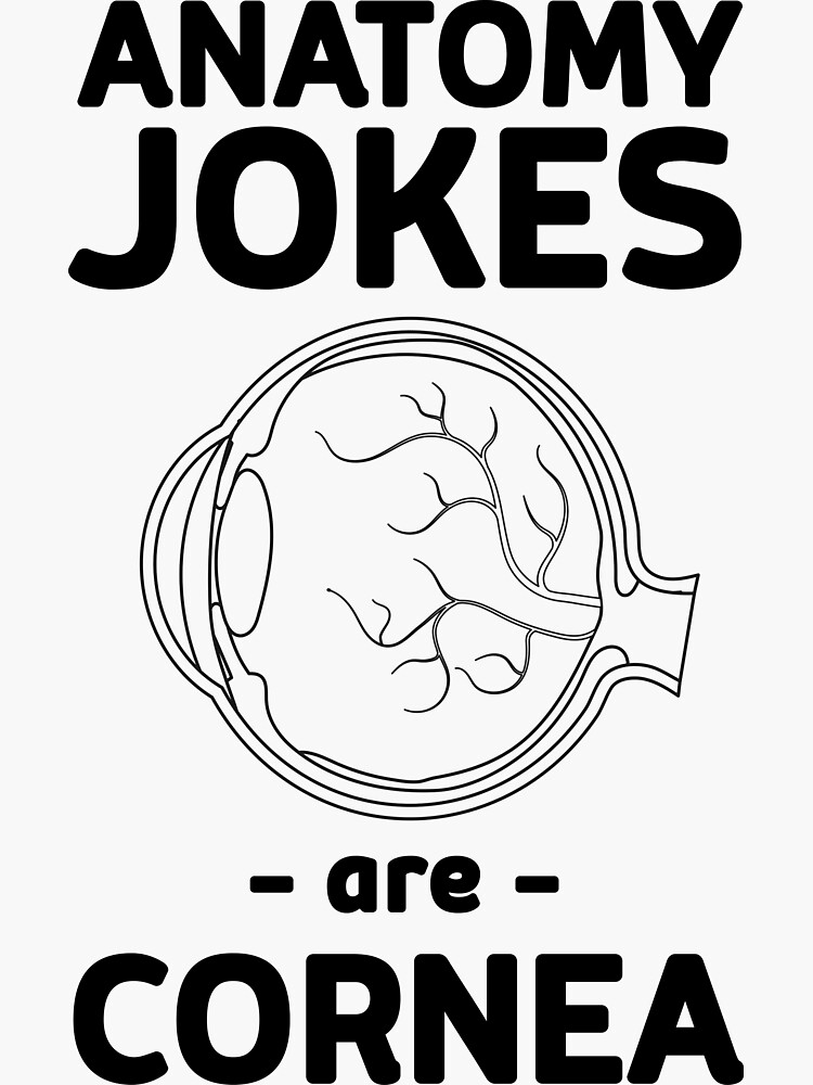 "Anatomy Jokes Are Cornea" Sticker for Sale by wondrous | Redbubble