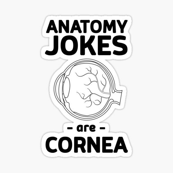 "Anatomy Jokes Are Cornea" Sticker for Sale by wondrous | Redbubble