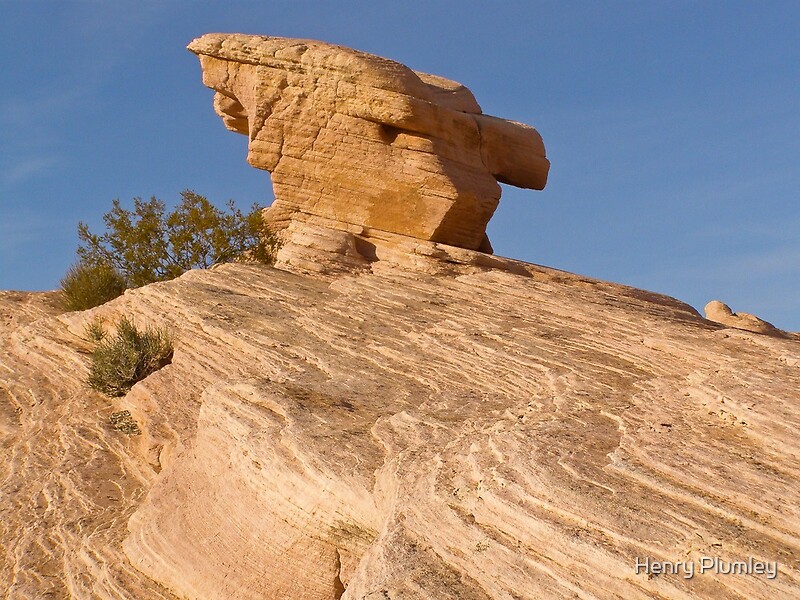 "Stubborn rock" by Henry Plumley | Redbubble